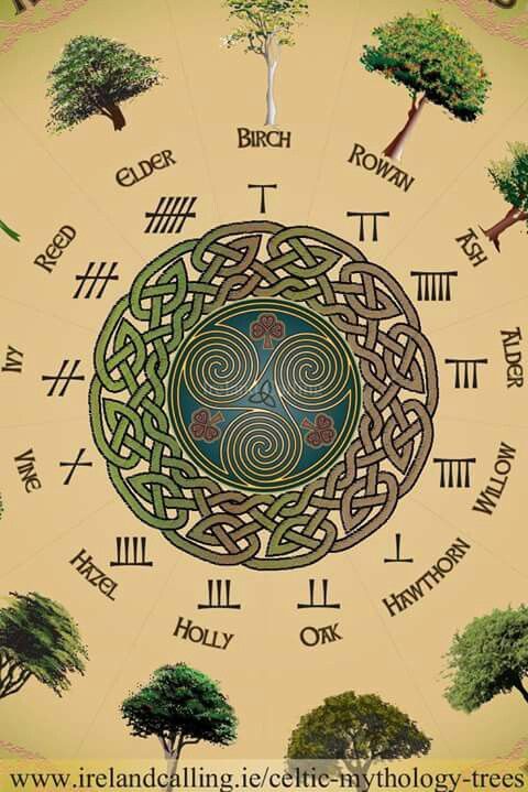 Celtic Tree Lore | Grand Temple of Horus Behdety